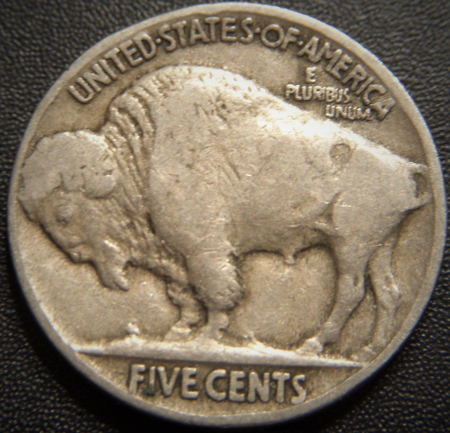 Buffalo Nickels — FUBA